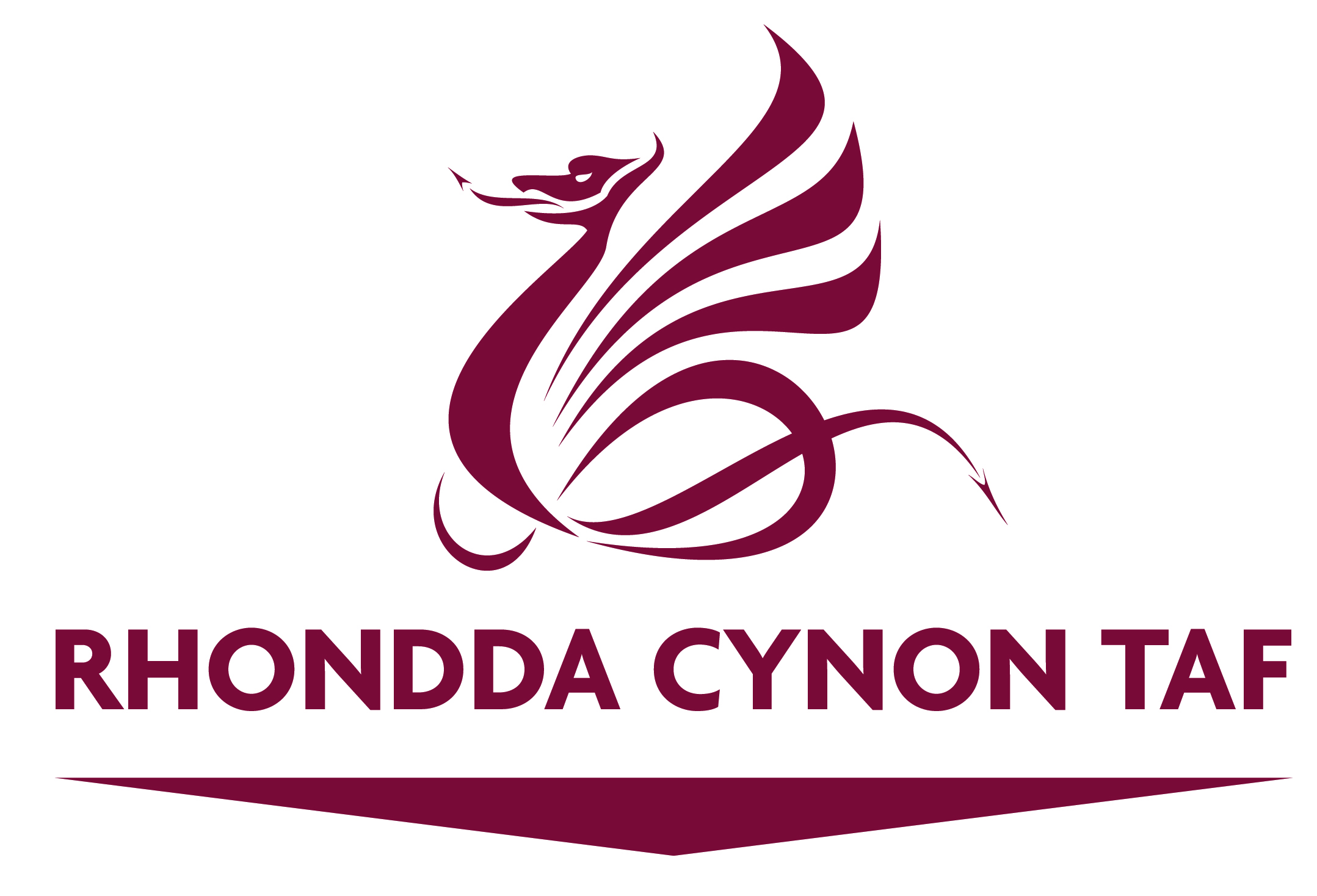 Course: Wales Interpretation and Translation Service